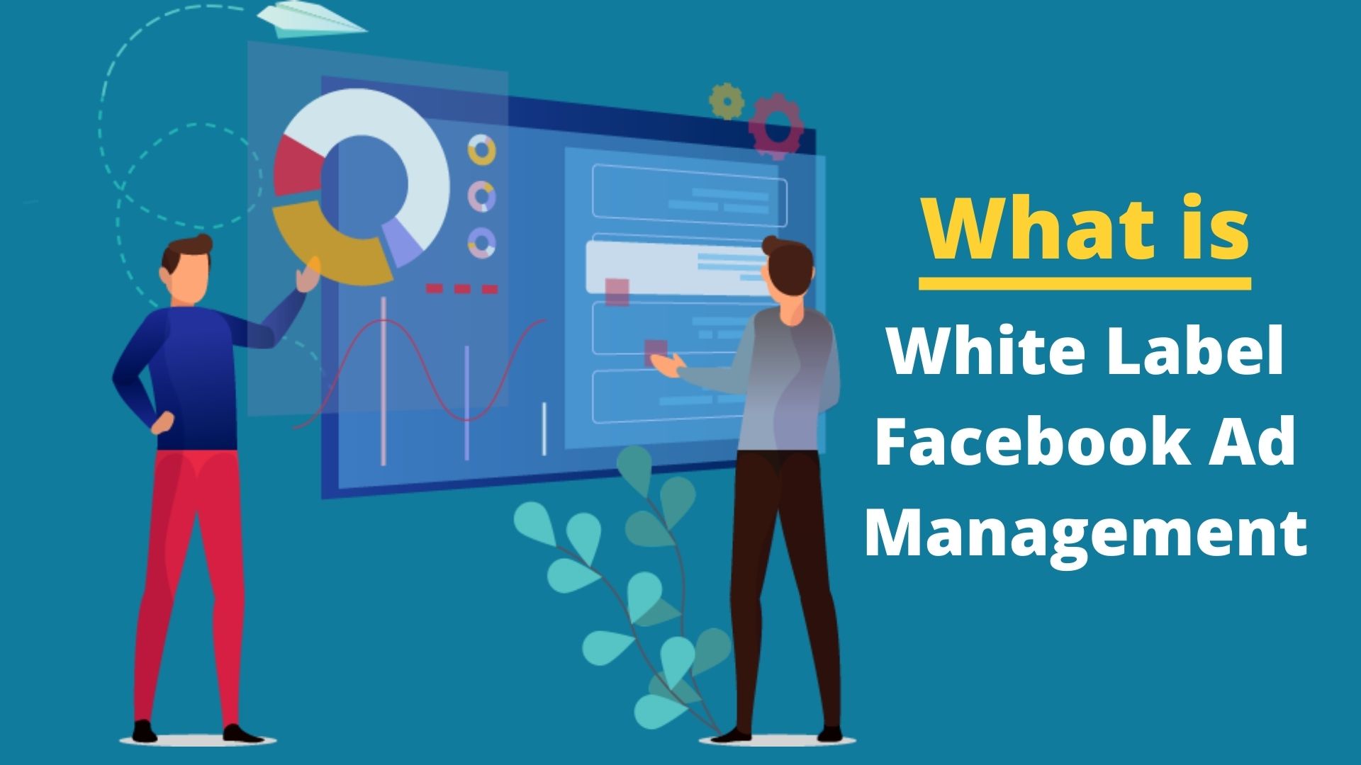Scale Your Business With White Label Facebook Ad Management