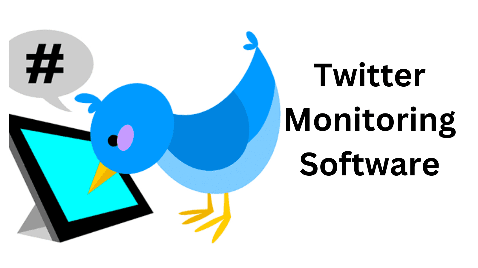 7 Points to Consider Before Purchasing a Twitter Monitoring Tool